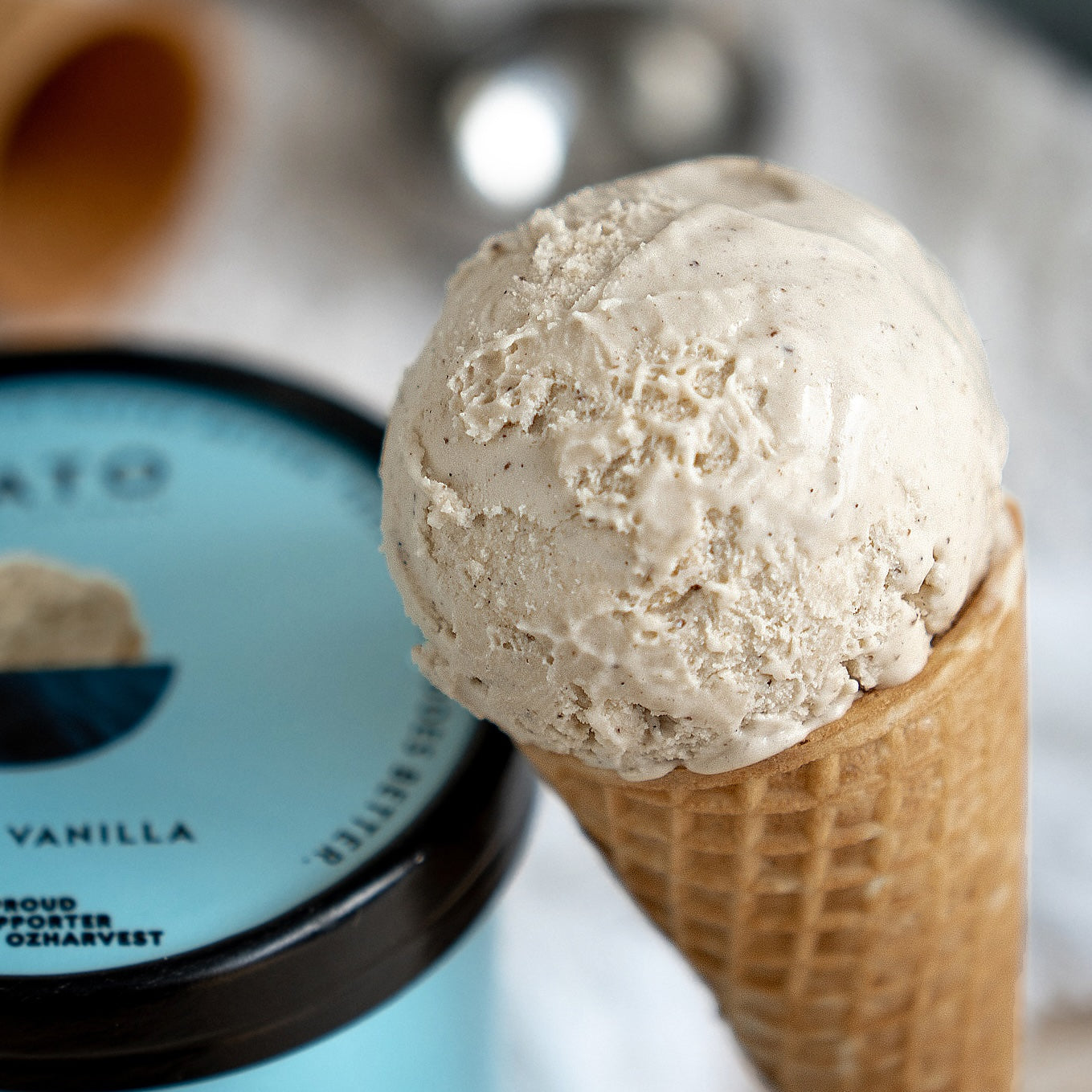 Not all Vanilla ice creams are created equal – Elato Ice Cream